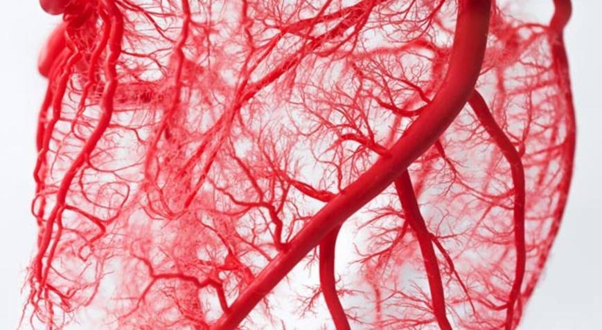 Varikosel Ameliyatı Nasıl Yapılır? Varikosel Ameliyatı Sonrası Nelere ...