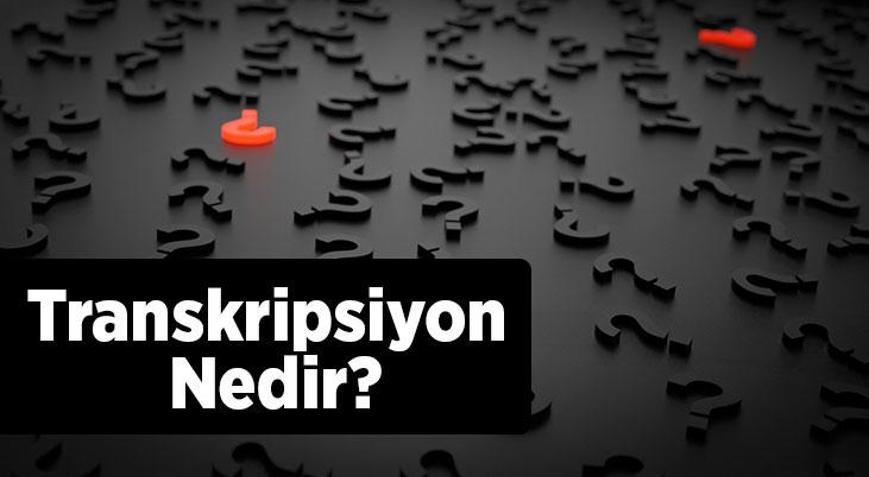 Transkripsiyon Nedir, Nerede Gerçekleşir? Biyolojide Transkripsiyon Ve ...