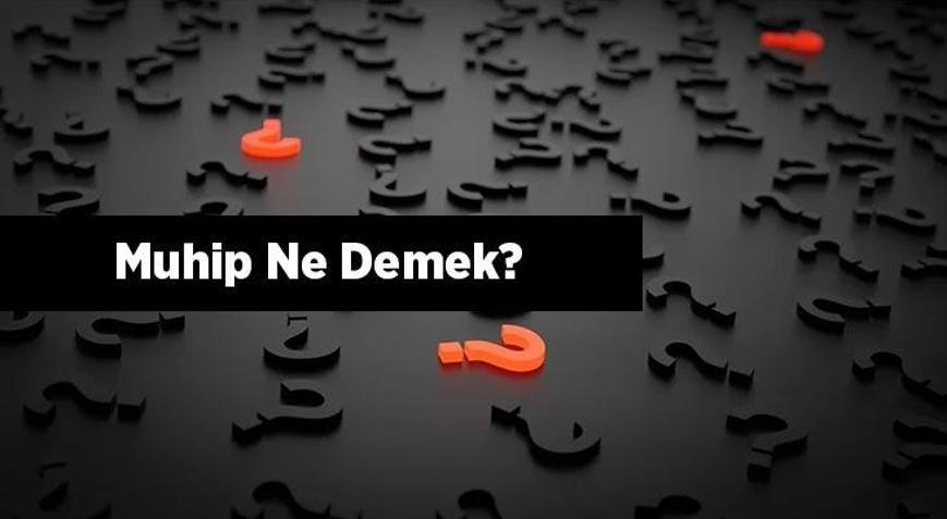 Muhip Ne Demek? Tdk'ya Göre Muhip Kelimesi Hangi Anlama Gelir? - En Son ...