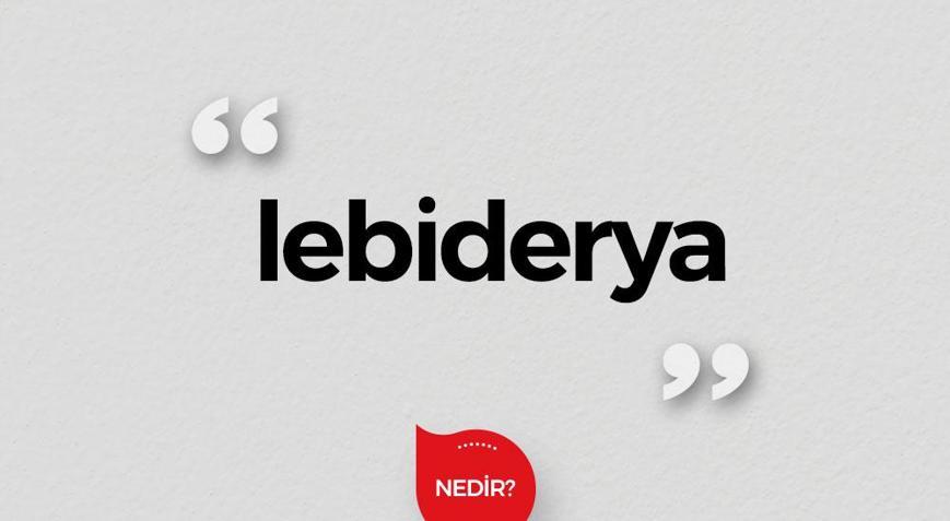 Lebiderya Nedir? - Milliyet Emlak