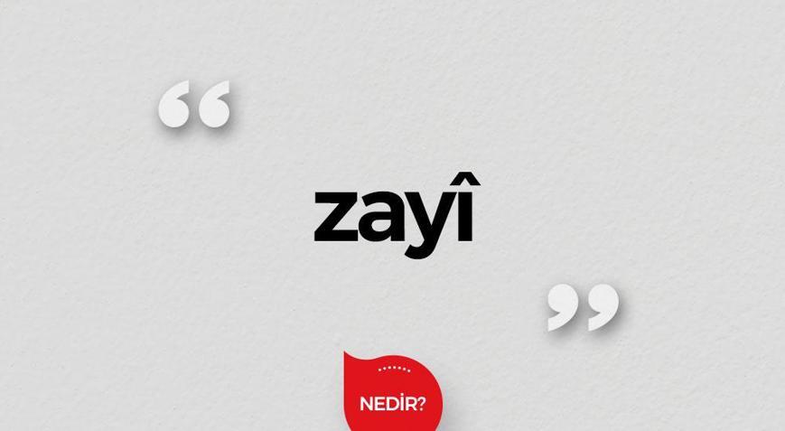 Zayî Ne Demek? - Milliyet Emlak
