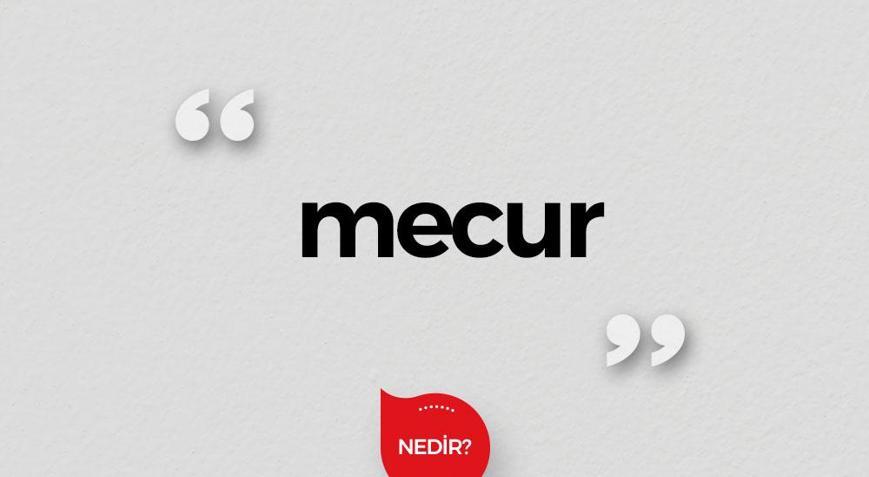 Mecur Ne Demek? - Milliyet Emlak
