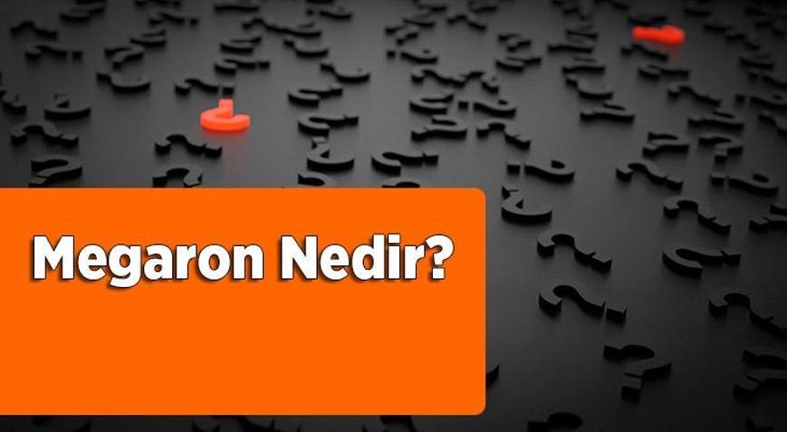 Megaron Nedir? Megaron Mimari Özellikleri Nelerdir? - En Son Haberler ...