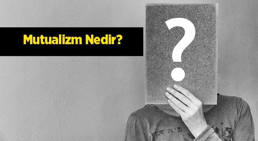 Mutualizm Nedir? Karşılıklı Fayda Birlikteliği Ne Demek, Mutualizm ...