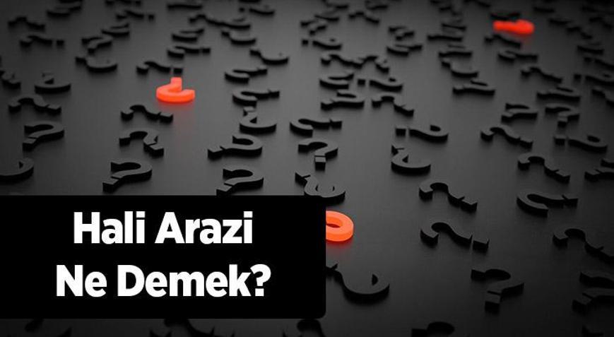 Hali Arazi Ne Demek? Hali Arazi Kime Aittir, Kiralanabilir Mi? - Son ...