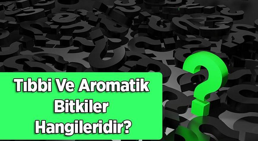 Tıbbi Ve Aromatik Bitkiler Hangileridir, Özellikleri Nelerdir? - En Son ...