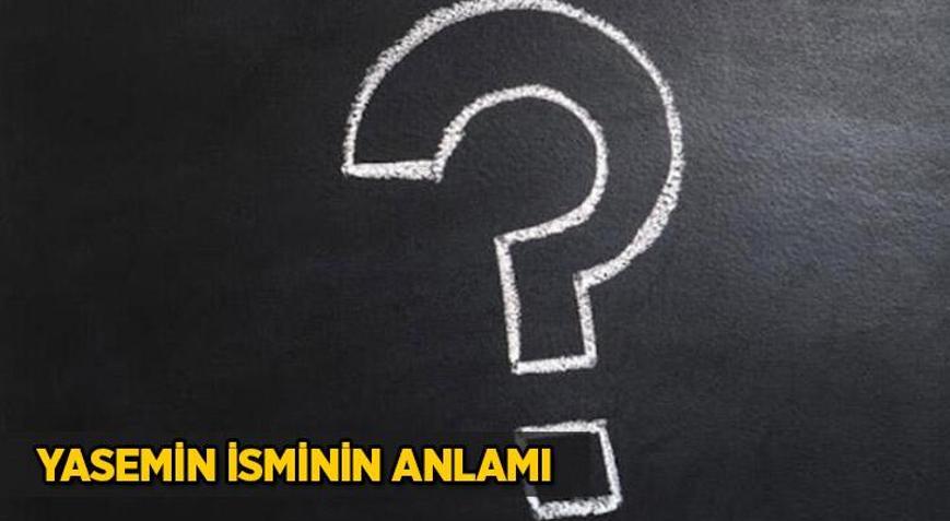 Yasemin İsminin Anlamı Nedir? Yasemin Ne Demek, Ne Anlama Gelir? - En ...