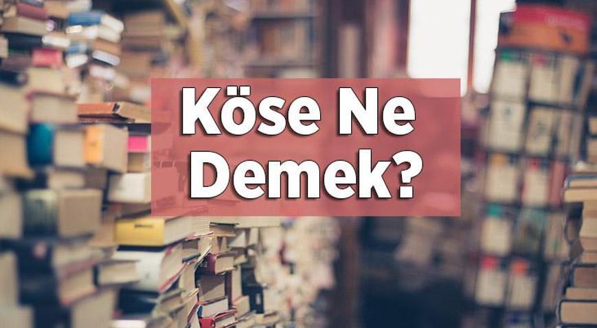 Köse Ne Demek, Tdk Sözlük Anlamı Nedir? Köse Kime Denir? - En Son ...