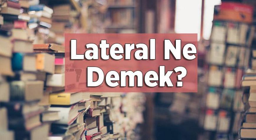 Lateral Ne Demek, Tdk Sözlük Anlamı Nedir? Anatomide Lateral Ne Anlama ...