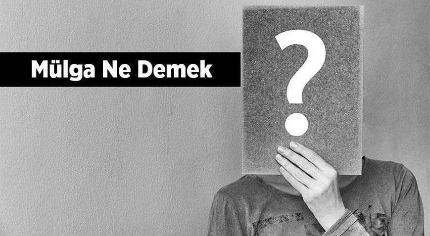Mülga Ne Demek, Tdk Sözlük Anlamı Nedir? Mülga Kanun Ne Anlama Gelir ...