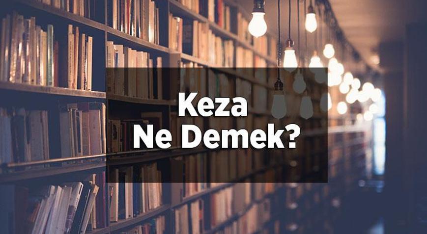 Keza Ne Demek, Tdk Sözlük Anlamı Nedir? Keza Cümle İçinde Kullanımı ...