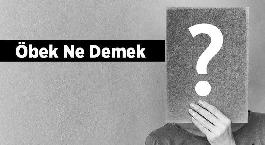 Öbek Ne Demek, Tdk Sözlük Anlamı Nedir? Öbek Halinde Ne Anlama Gelir ...