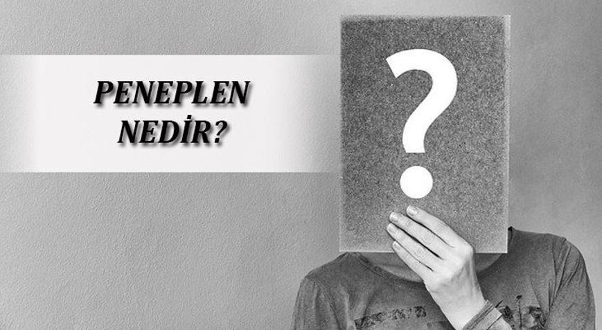 Peneplen Nedir, Özellikleri Nelerdir? Peneplen Nerelerde Görülür? - En ...