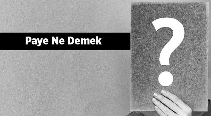 Paye Ne Demek, Tdk Sözlük Anlamı Nedir? Paye Edinmek Ne Demek? - En Son ...