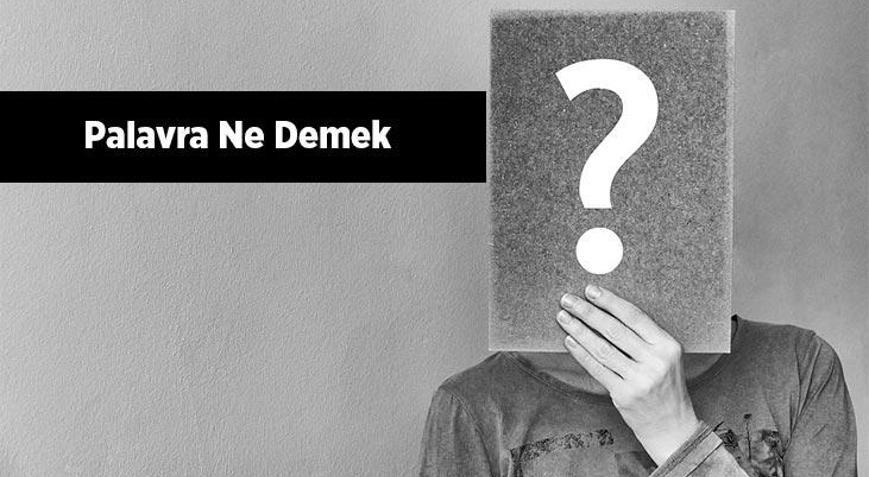 Palavra Ne Demek, Tdk Sözlük Anlamı Nedir? Palavra Atmak Ne Demektir?