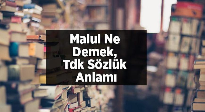 Malul Ne Demek, Tdk Sözlük Anlamı Nedir? Malulen Ne Demektir?