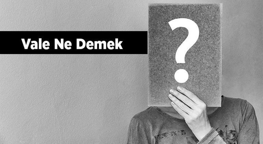 Vale Ne Demek? Vale Tdk Sözlük Anlamı Nedir?