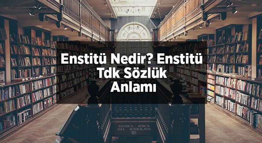 Enstitü Nedir? Enstitü Tdk Sözlük Anlamı Ne Demek?