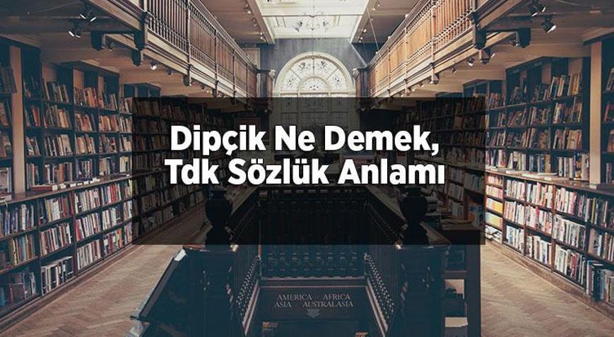 Dipçik Ne Demek, Tdk Sözlük Anlamı Nedir? Dipçik Gibi Olmak Ne Demek?