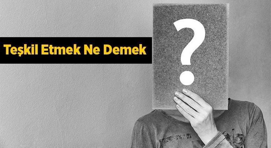 Teşkil Etmek Ne Demek? Teşkil Etmek Tdk Sözlük Anlamı Nedir?