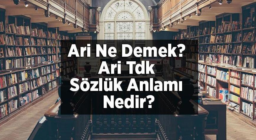 Ari Ne Demek? Ari Tdk Sözlük Anlamı Nedir?