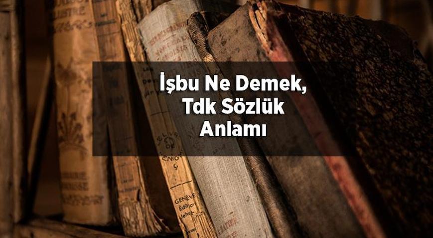 İşbu Ne Demek, Tdk Sözlük Anlamı Nedir? İşbu Cümle İçinde Kullanımı...