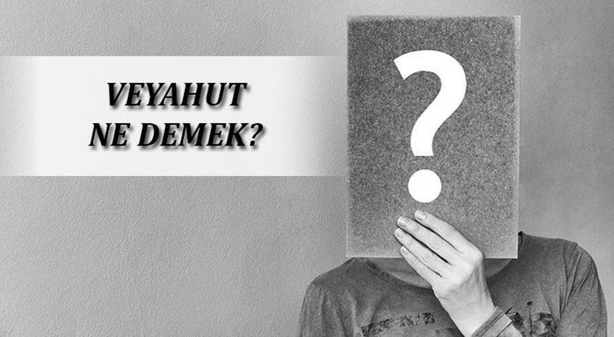 Veyahut Ne Demek, TDK Sözlük Anlamı Nedir? Veyahut Cümle İçinde ...