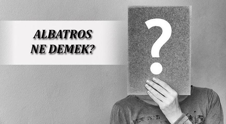 Albatros Ne Demek, TDK Sözlük Anlamı Nedir? Albatros Kuşunun ...