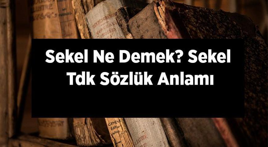 Sekel Ne Demek? Sekel Tdk Sözlük Anlamı Nedir?