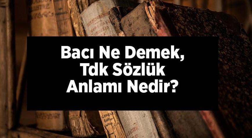 Bacı Ne Demek, Tdk Sözlük Anlamı Nedir? Bacı Kime Denir?