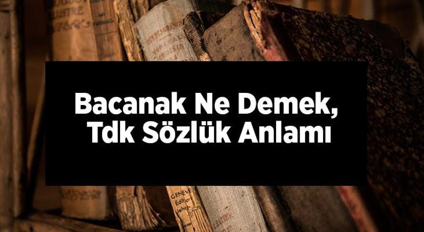 Bacanak Ne Demek, Tdk Sözlük Anlamı Nedir? Bacanak Kime Denir?
