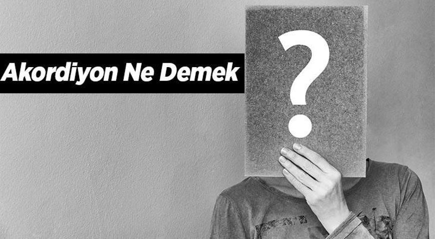 Akordiyon Ne Demek? Akordeon Nedir, Tdk Sözlük Anlamı Ne Dmek?