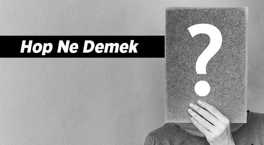 Hop Ne Demek, Tdk Sözlük Anlamı Nedir? Hop Cümle İçinde Kullanımı...