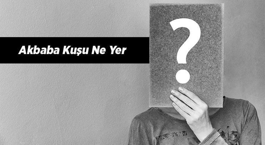 Akbaba Kuşu Ne Yer, Nerede Yaşar? Özellikleri Nelerdir? - Evcil Hayvan