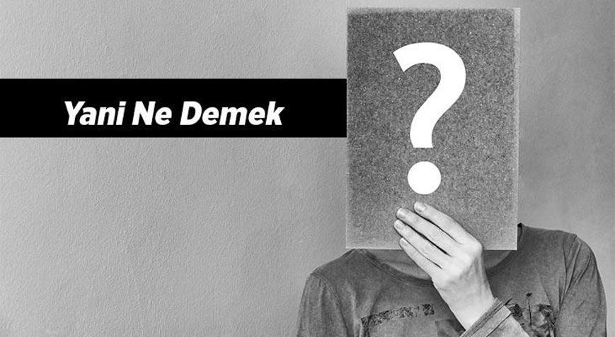 Yani Ne Demek, Tdk Sözlük Anlamı Nedir? Yani Cümle İçinde Kullanımı...