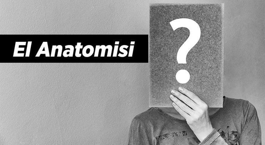 El Anatomisi: Kemikler, Kaslar, Damarlar Ve Eklemler Hakkında Bilgiler ...