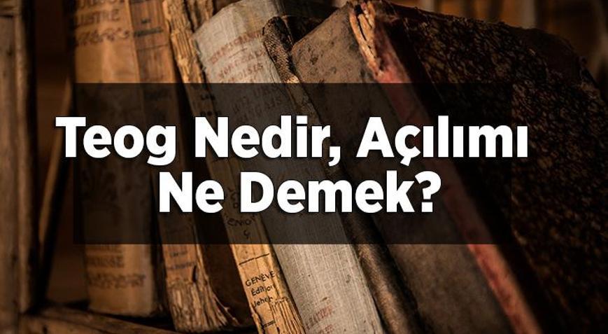 Teog Nedir, Açılımı Ne Demek? Teog Sınavı Kaçıncı Sınıfta Yapılır? - En ...