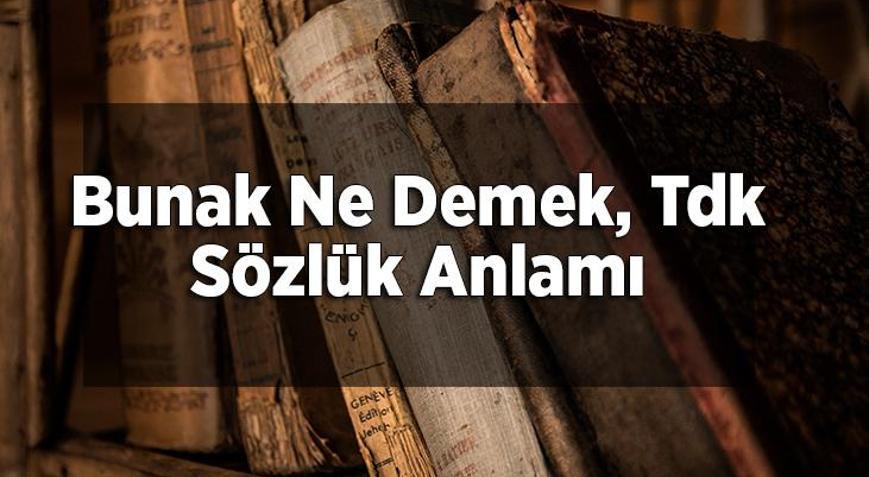 Bunak Ne Demek, Tdk Sözlük Anlamı Nedir? Bunak Kime Denir?