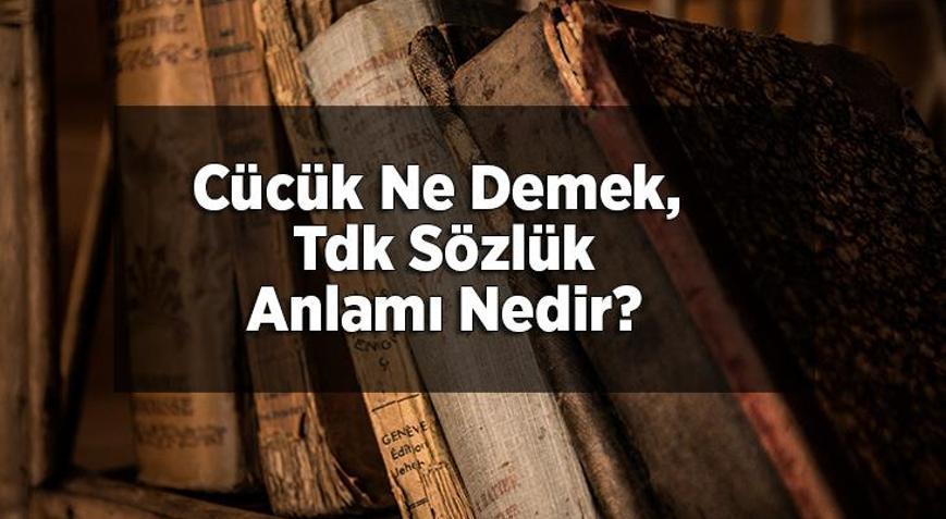 Cücük Ne Demek, Tdk Sözlük Anlamı Nedir? Bitkilerde Cücük Neresidir?