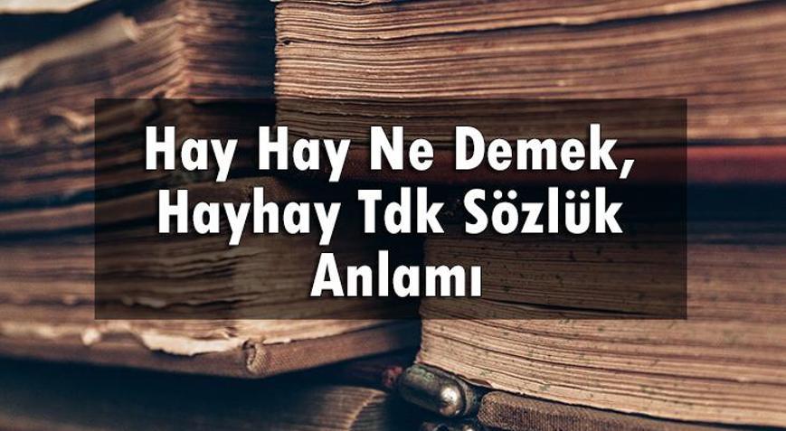 Hay Hay Ne Demek, Hayhay Tdk Sözlük Anlamı Nedir?