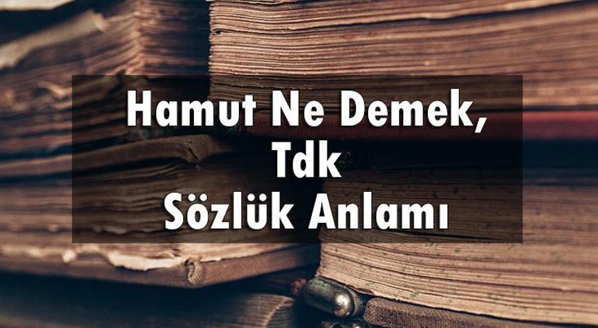 Hamut Ne Demek, Tdk Sözlük Anlamı Nedir? Hamut Ne İçin Kullanılır?