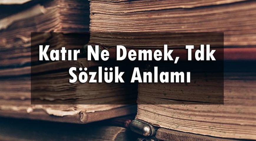 Katır Ne Demek, Tdk Sözlük Anlamı Nedir? Katır Nasıl Olur?