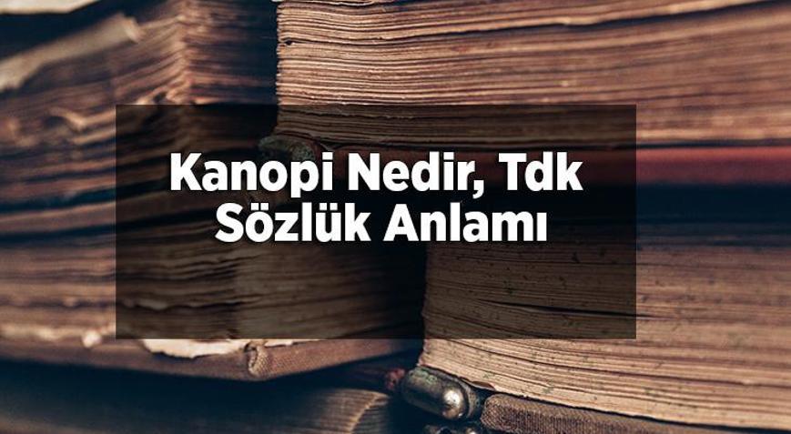 Kanopi Nedir, Tdk Sözlük Anlamı Nedir? Kanopi Cümle İçinde Kullanımı...