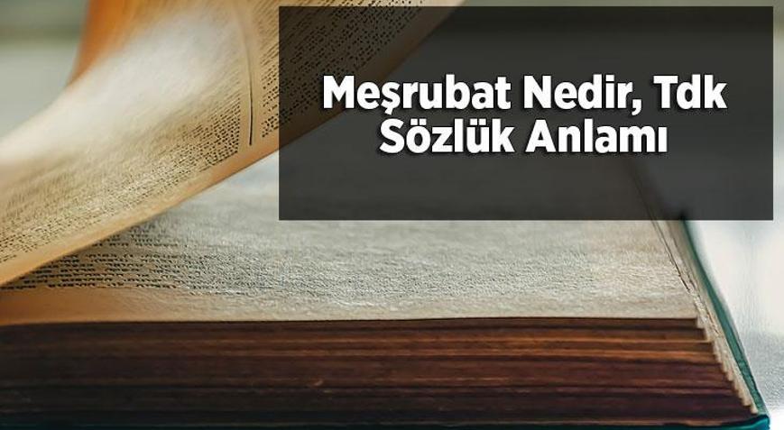 Meşrubat Nedir, Tdk Sözlük Anlamı Ne Demek? Meşrubat Çeşitleri Nelerdir?