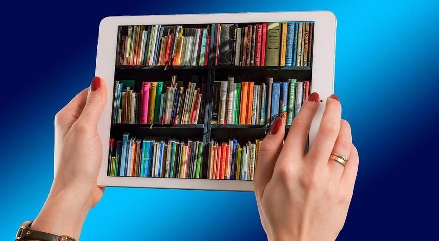 Hilus Nedir, Nerede Bulunur? Akciğer Hilusu Görevleri Nelerdir? - En ...