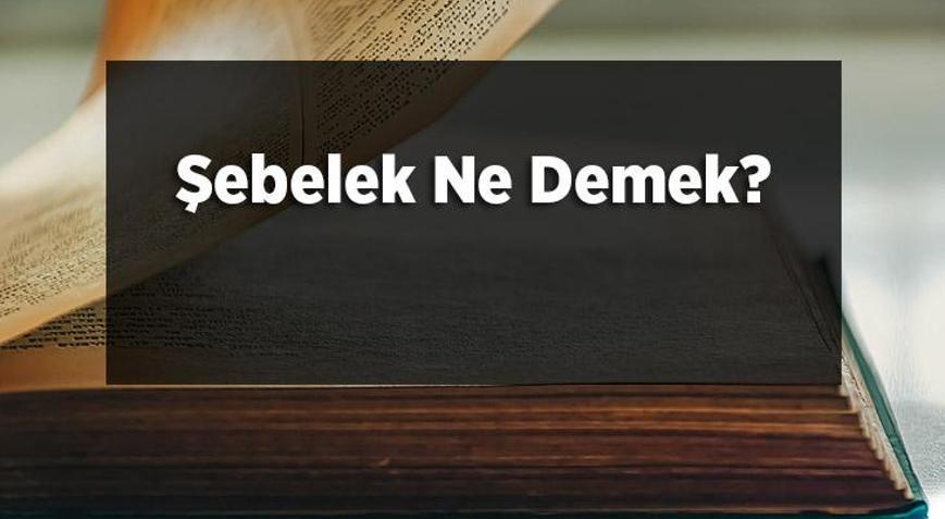 Şebelek Ne Demek? Şebelek Tdk Sözlük Anlamı Nedir? - En Son Haberler ...