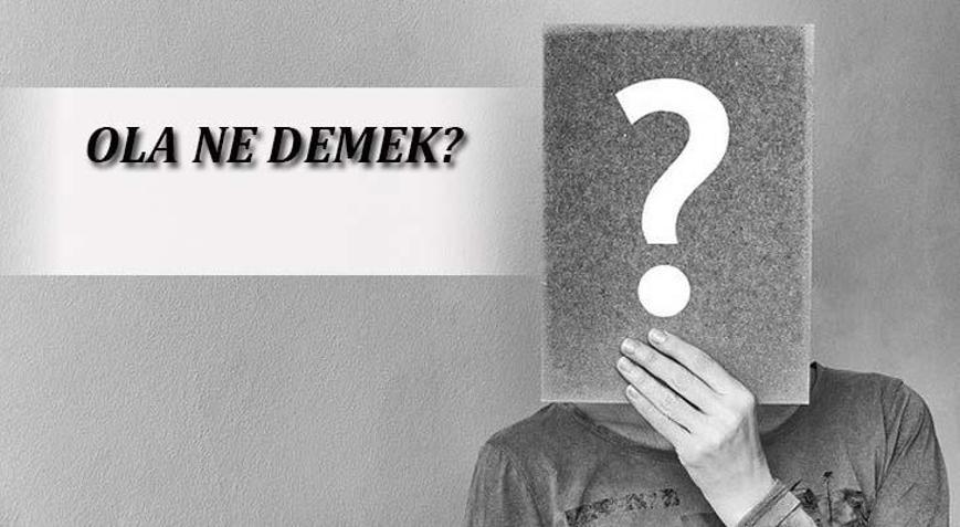 Ola Ne Demek, Türkçesi Nedir? Ola Hangi Dildedir? - En Son Haberler ...