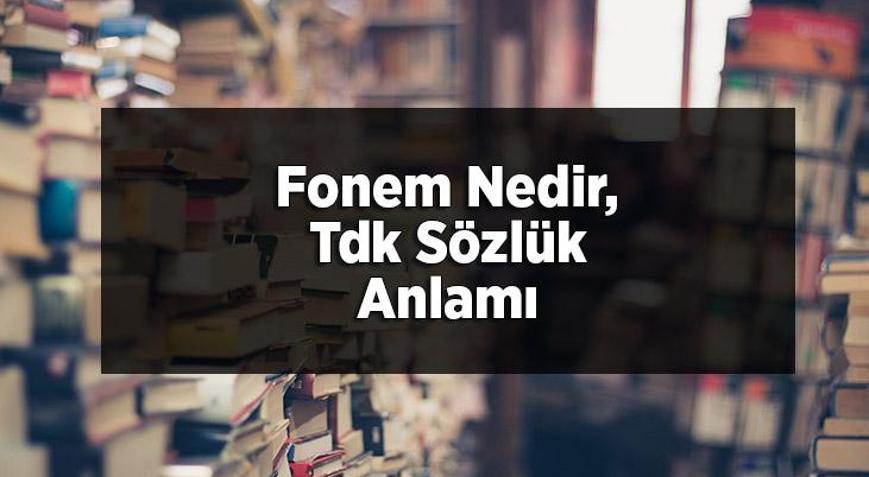 Fonem Nedir, Tdk Sözlük Anlamı Ne Demek? Türkçede Kaç Fonem Vardır?