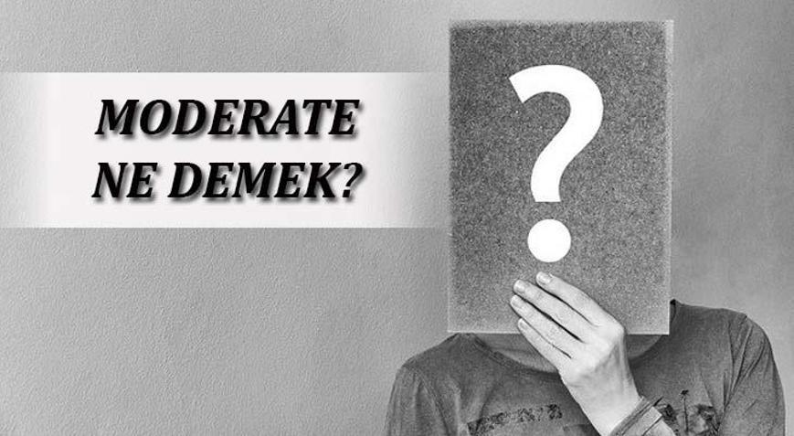 Moderate Ne Demek, Türkçesi Nedir? Moderate Etmek Ne Anlama Gelir? - En ...