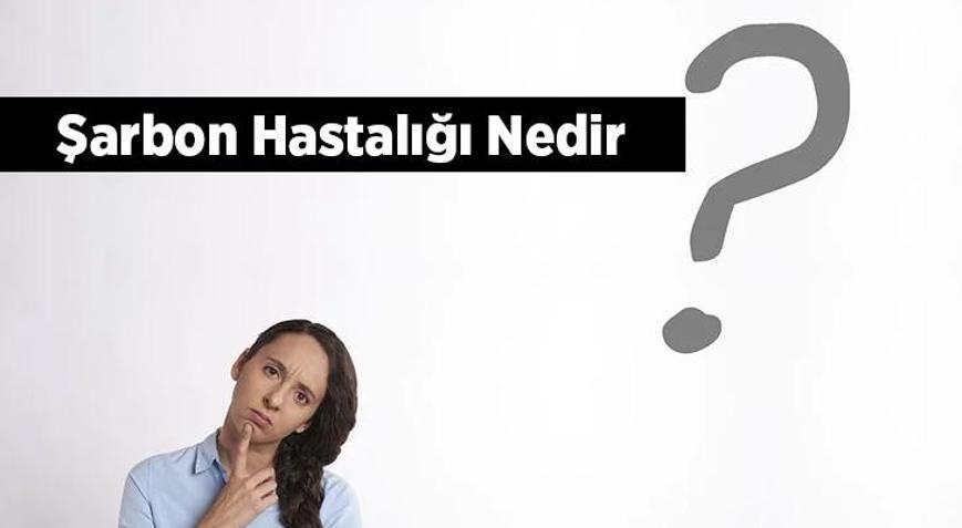 Şarbon Hastalığı Nedir, Belirtileri Nelerdir? Şarbon Hastalığı Tedavisi ...